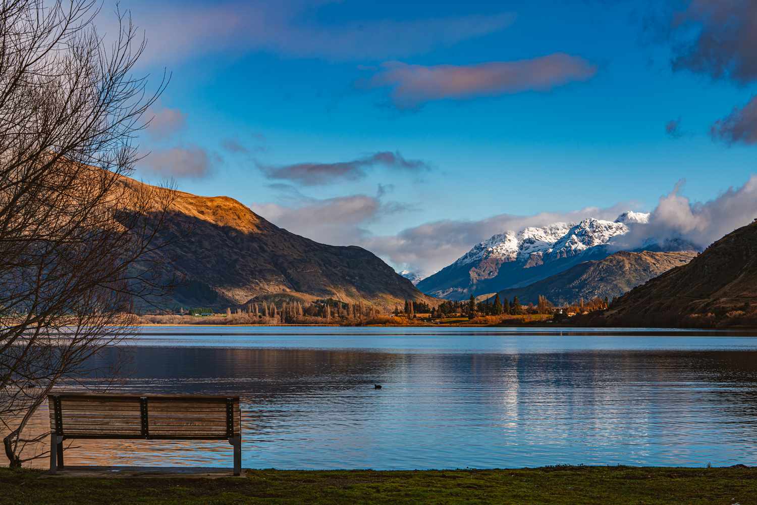 New Zealand Travel Guide: Ultimate 2026 Trip Planner